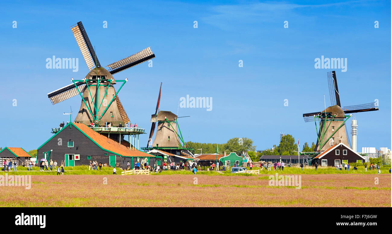 Zaanse schans Banque de photographies et d’images à haute résolution ...
