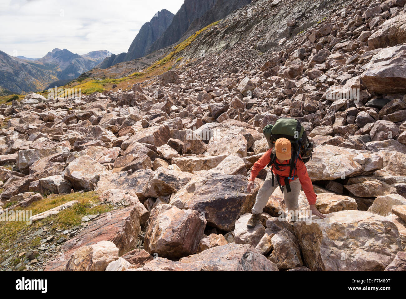 Talus talus Banque de photographies et d’images à haute résolution - Alamy