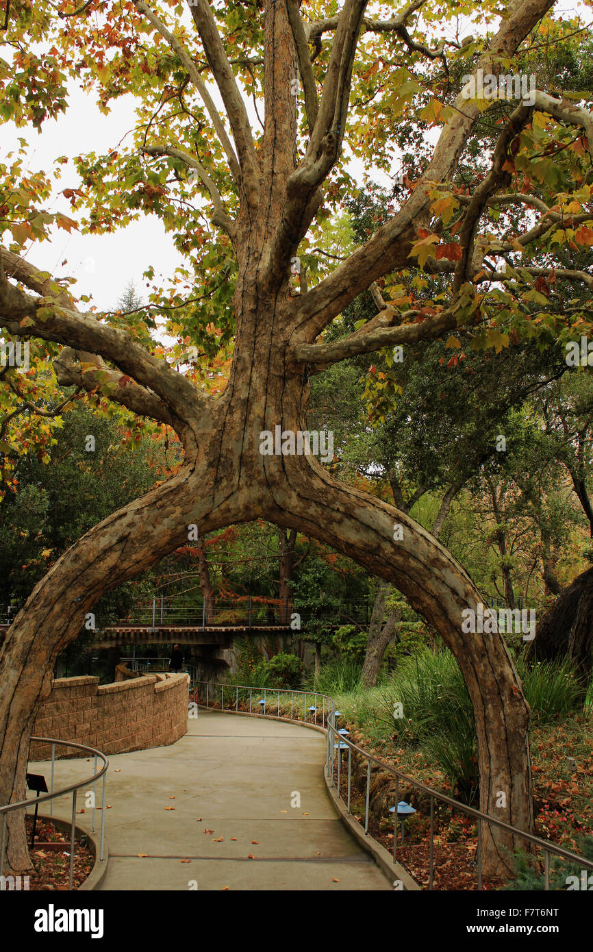 Gilroy gardens Banque de photographies et d’images à haute résolution ...