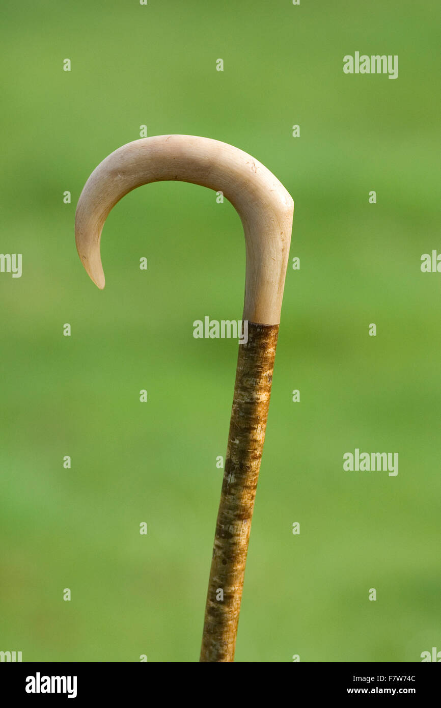 Bâton de marche escroc des bergers Banque de photographies et d’images à haute résolution - Alamy