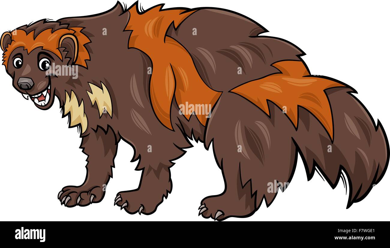 Wolverine animal cartoon illustration Banque d'images vectorielles - Alamy