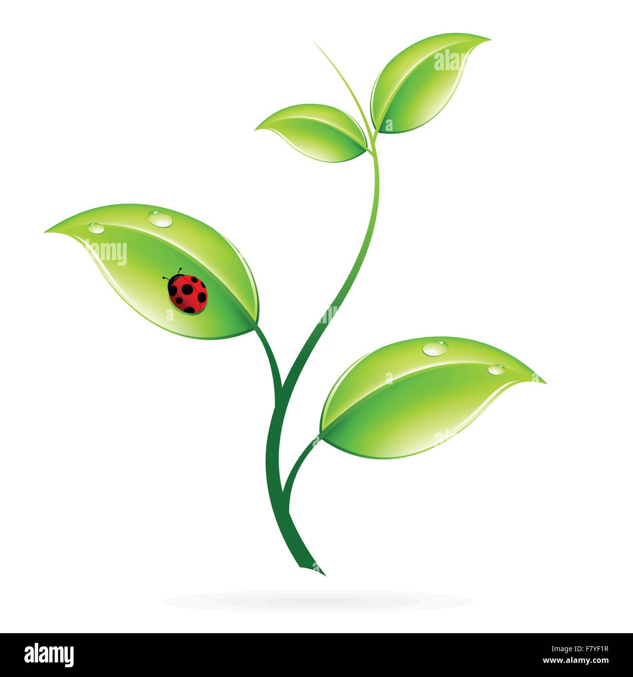 Plante de pousse Banque d'images vectorielles - Alamy
