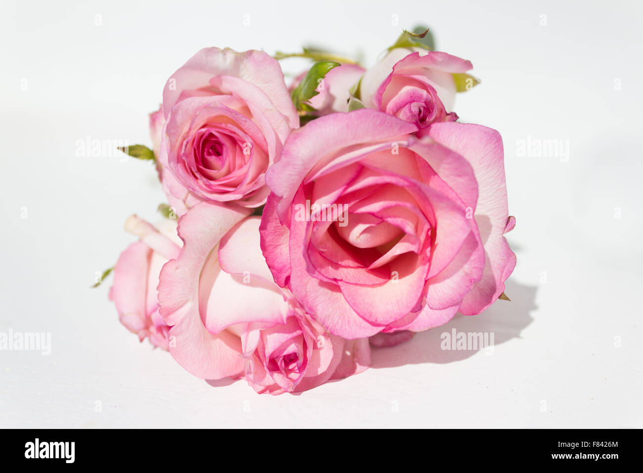 Bouquet de roses roses Banque de photographies et d’images à haute ...