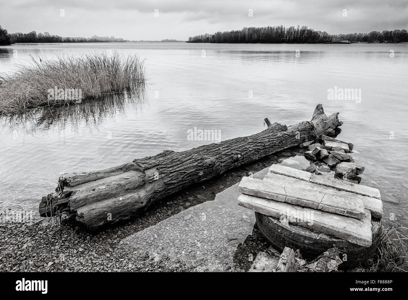 Tronc d'arbre flottant Banque de photographies et d’images à haute résolution - Alamy