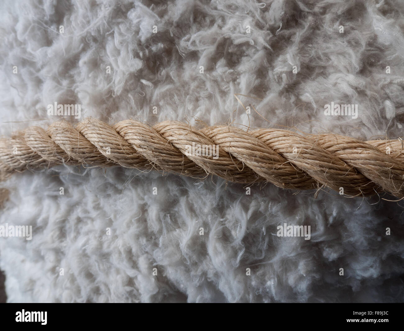 Raw cotton Banque de photographies et d’images à haute résolution - Alamy