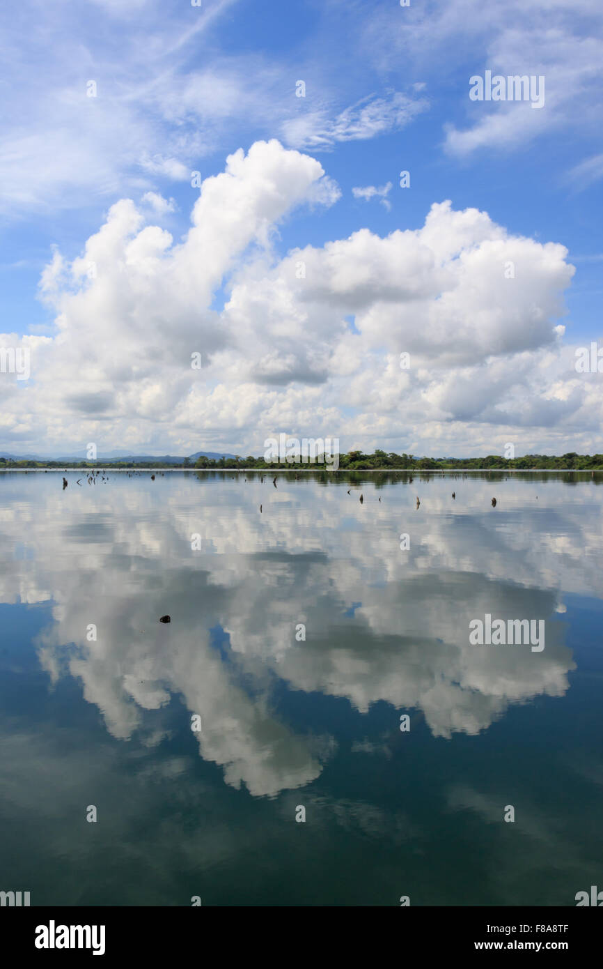 Lago gatun Banque de photographies et d’images à haute résolution - Alamy