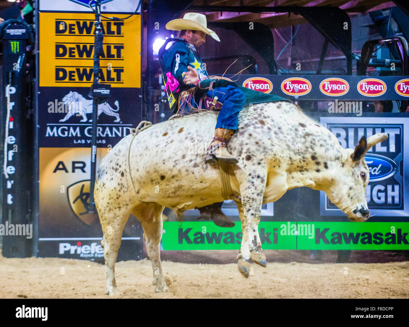Cowboy participant à la PBR bull riding world finals. Le bull riding ...