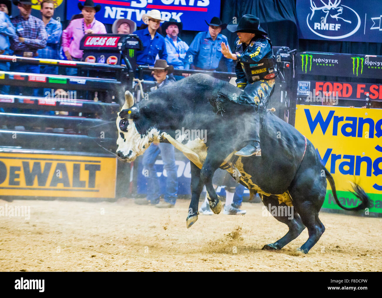 Cowboy participant à la PBR bull riding world finals. Le bull riding ...