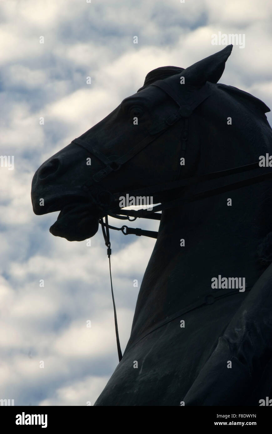Thomas Francis Meagher statue silhouette, Montana State Capitol, Helena ...