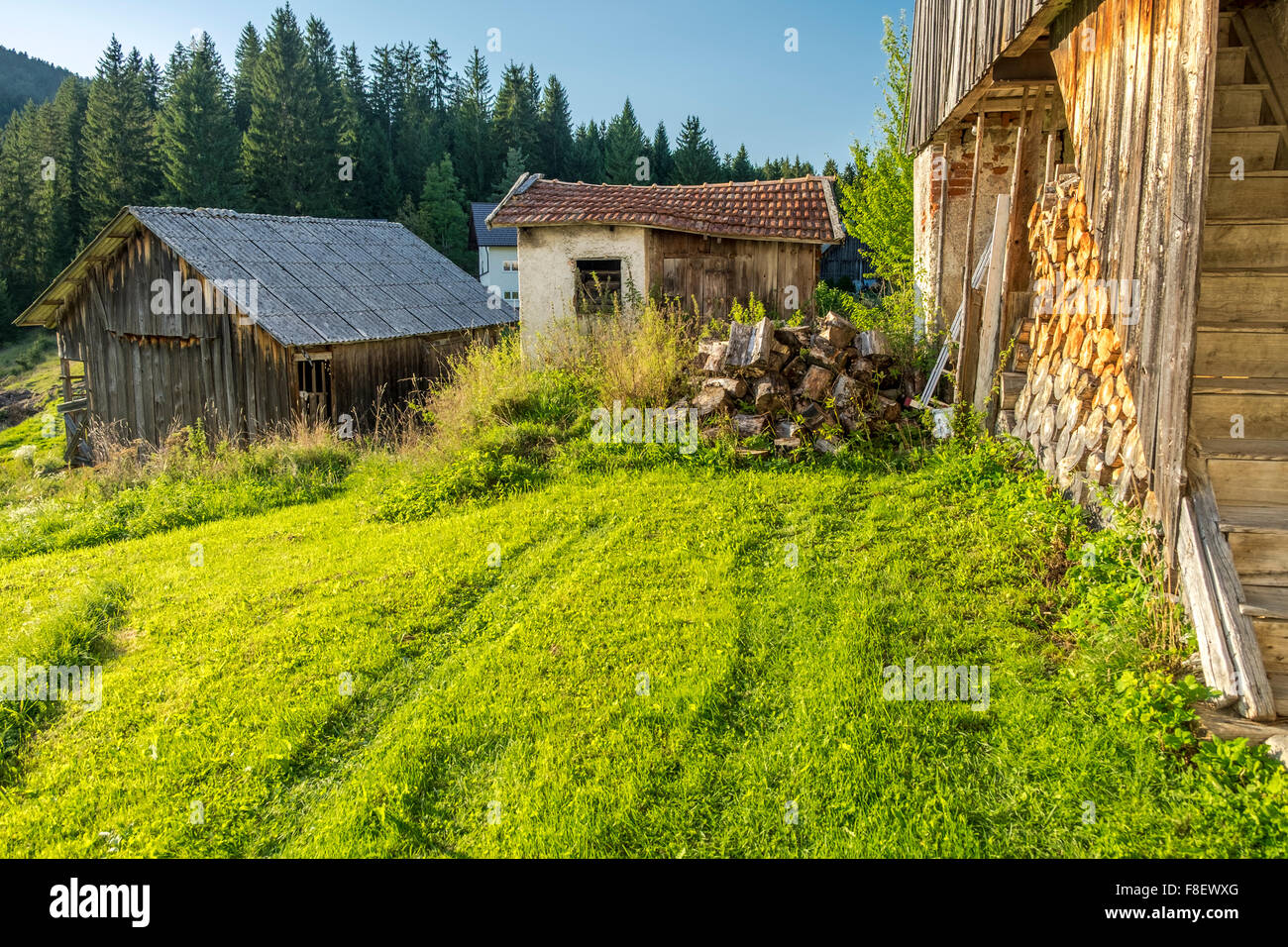 Loski potok Banque de photographies et d’images à haute résolution - Alamy