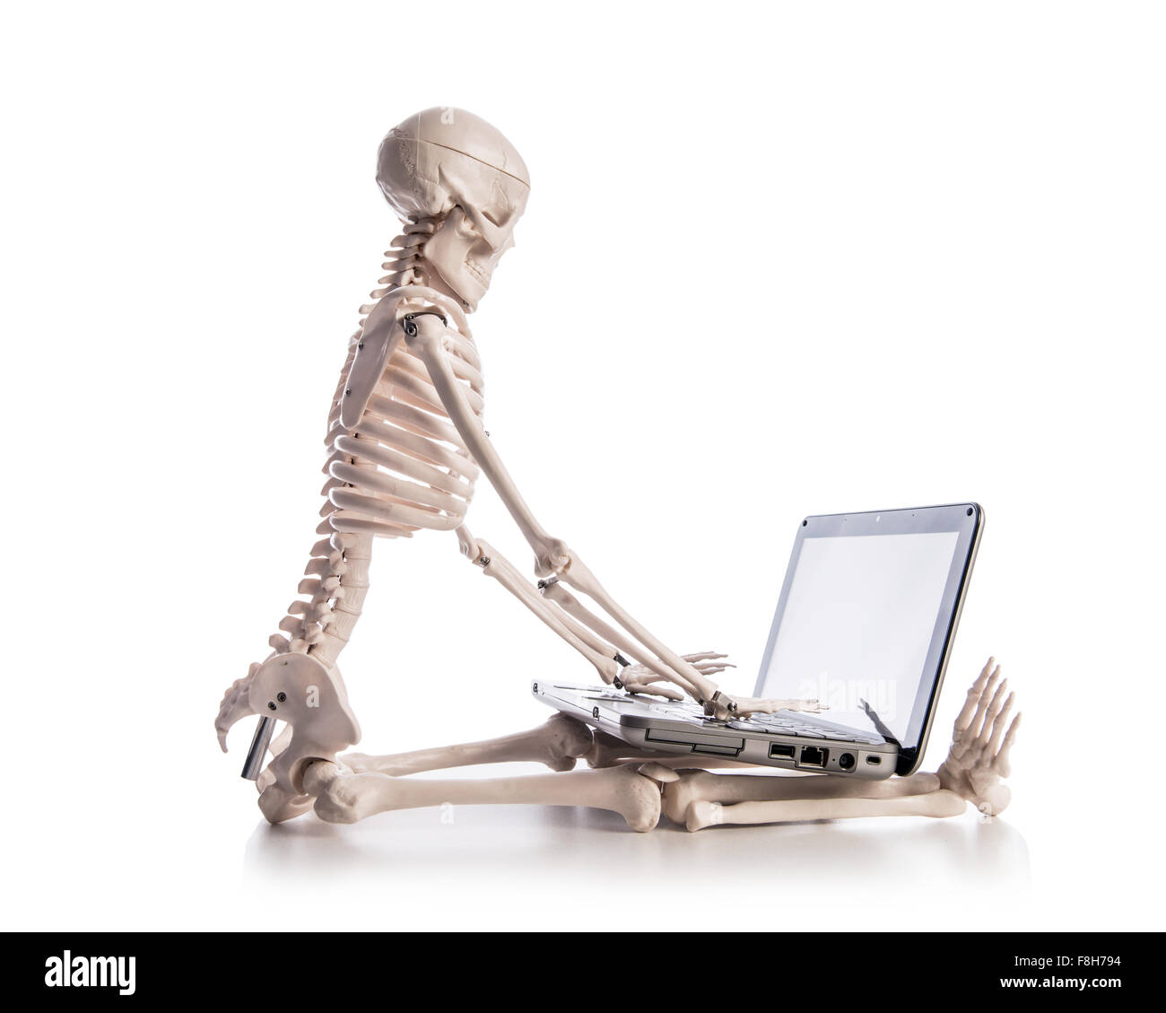 Skeleton sitting computer Banque d'images détourées - Alamy