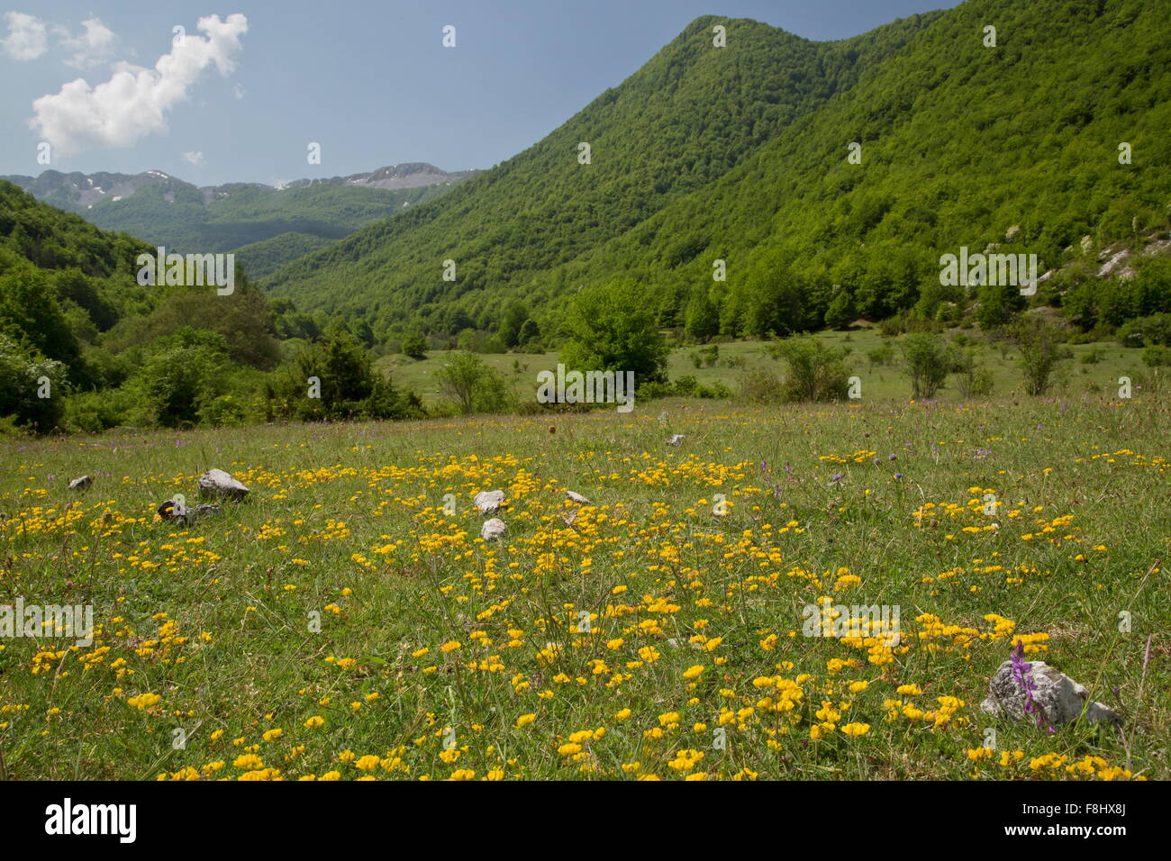Montagnes des apennins en italie Banque de photographies et d’images à ...