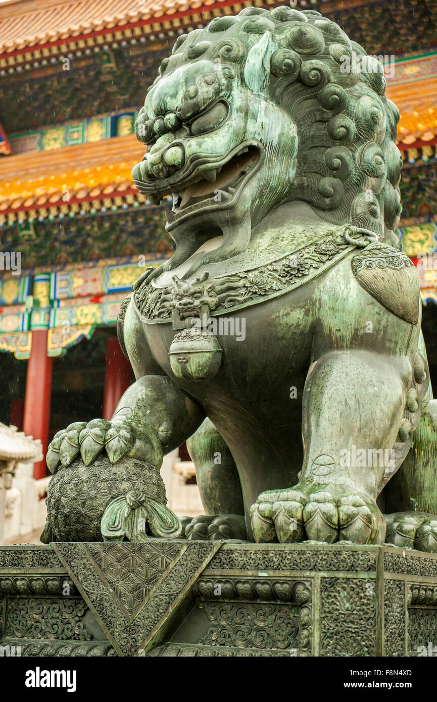 Lion asiatique Banque de photographies et d’images à haute résolution ...