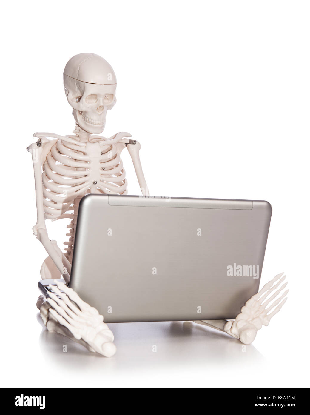 Skeleton sitting computer Banque d'images détourées - Alamy