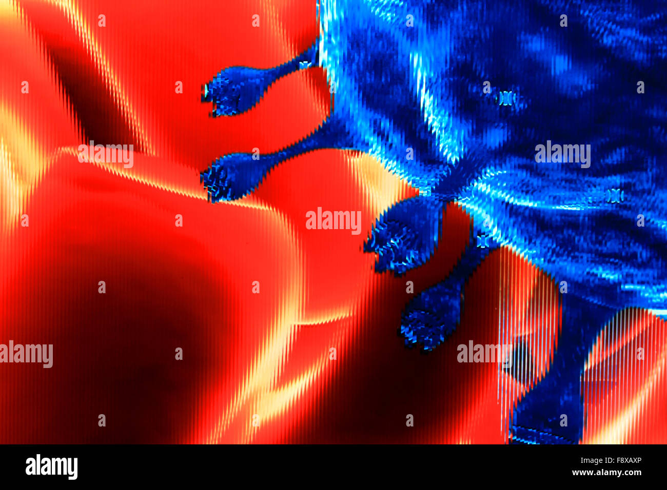 Red blood cell electron micrograph Banque de photographies et d’images ...