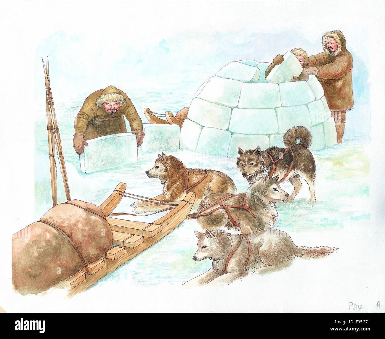 Esquimaux inuits Banque de photographies et d’images à haute résolution ...