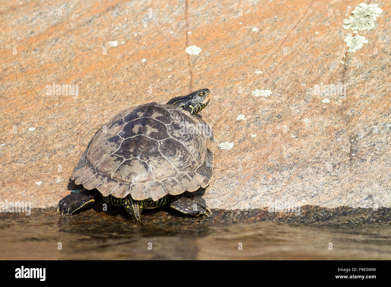 Carte Du Lac Ontario Ontario Banque d'image et photos - Alamy
