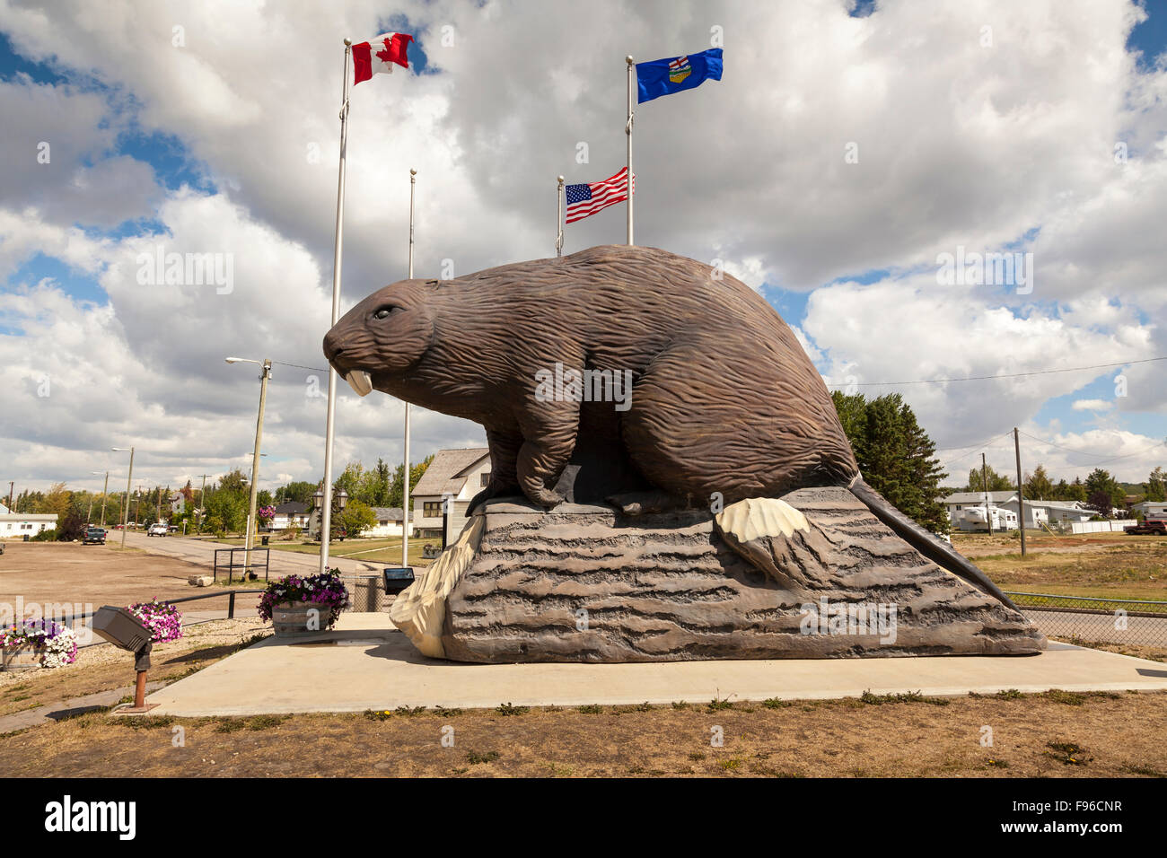 Canada symbol beaver Banque de photographies et d’images à haute ...