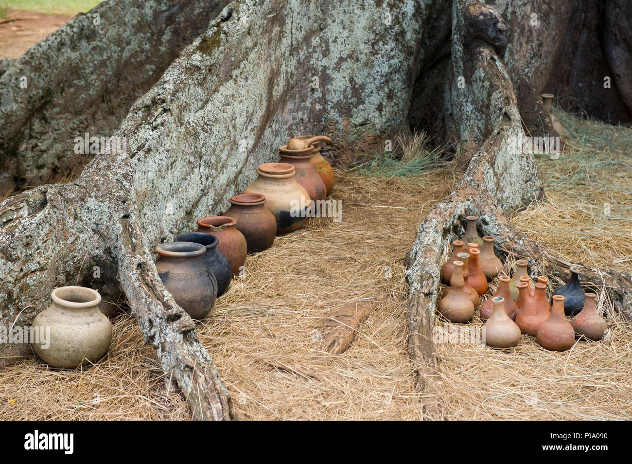 Arbre avec des offrandes Banque de photographies et d’images à haute ...