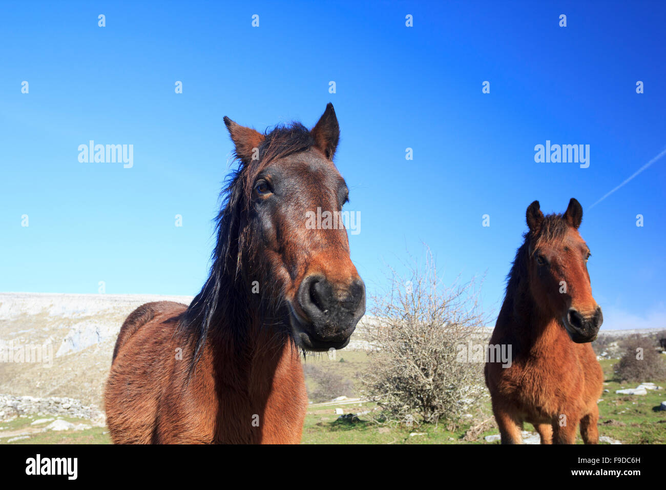 Solitude Esclave Banque d'image et photos - Alamy