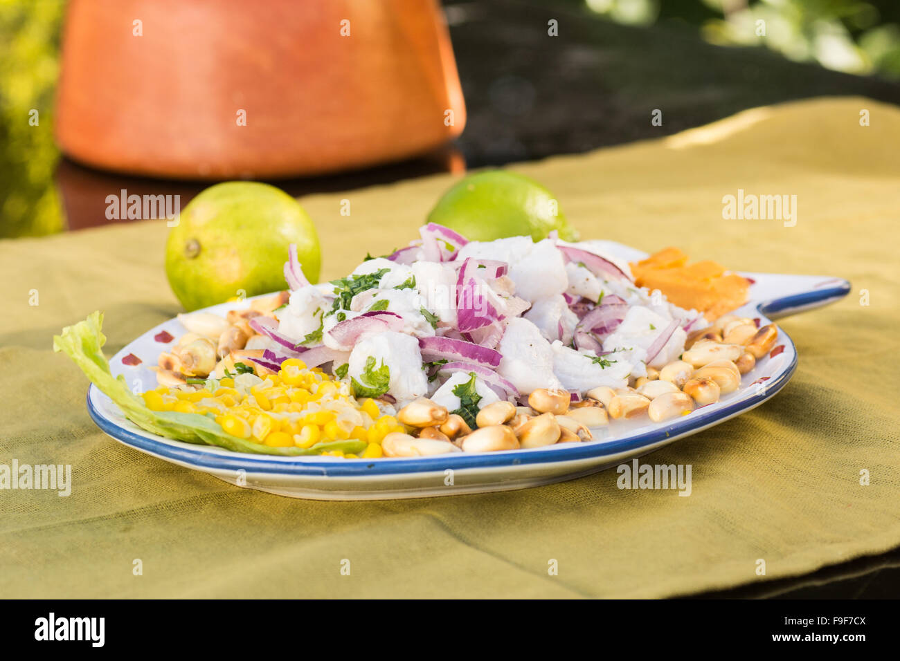 Péruvien typique plat de poisson ceviche avec maïs et maïs grillé Photo ...