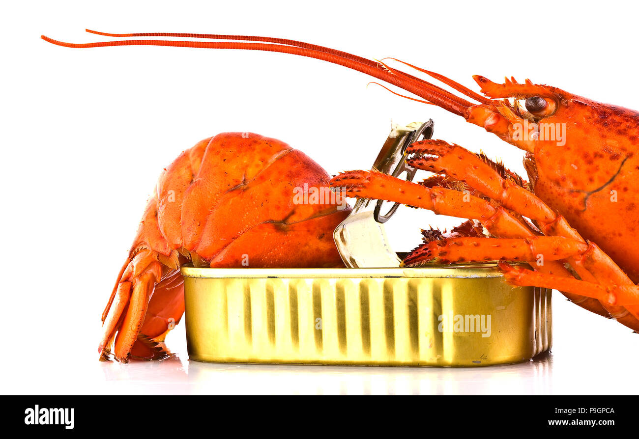 Homard entier cuit fond blanc Banque de photographies et d’images à ...