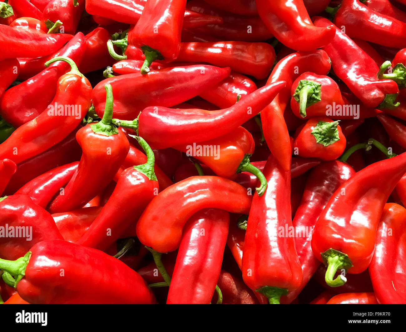 Capsicum rouge Banque de photographies et d’images à haute résolution ...