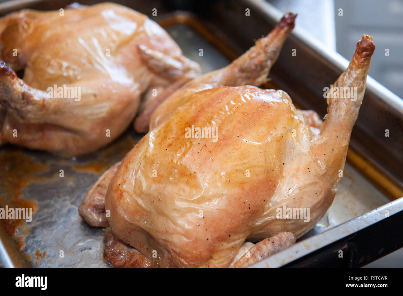 Poulet cuit Banque de photographies et d’images à haute résolution - Alamy