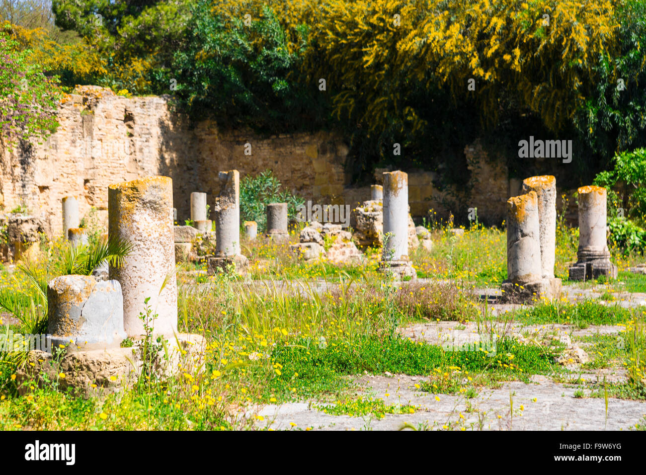 Carthage ancient roman wall ruin Banque de photographies et d’images à ...