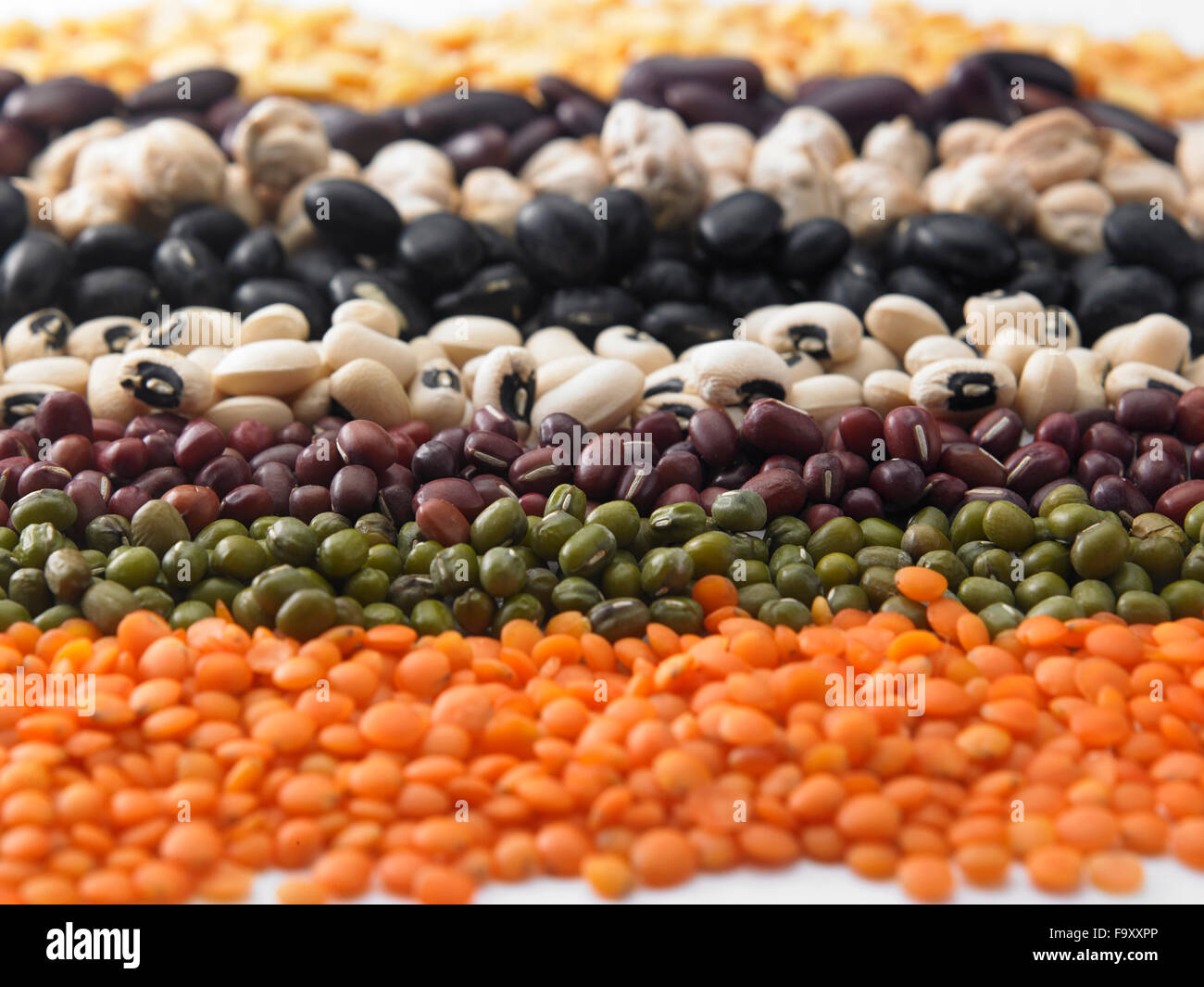 Différents types de haricots sur le fond blanc Photo Stock - Alamy