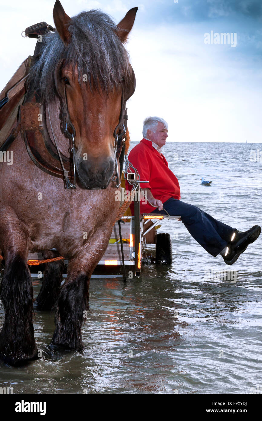 L'ouate de pêcheur dans la mer. La pêche des crevettes - les derniers ...