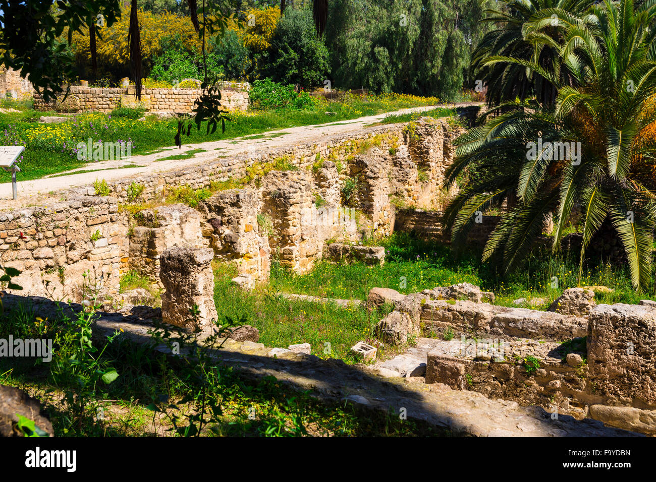 Carthage ancient roman wall ruin Banque de photographies et d’images à ...