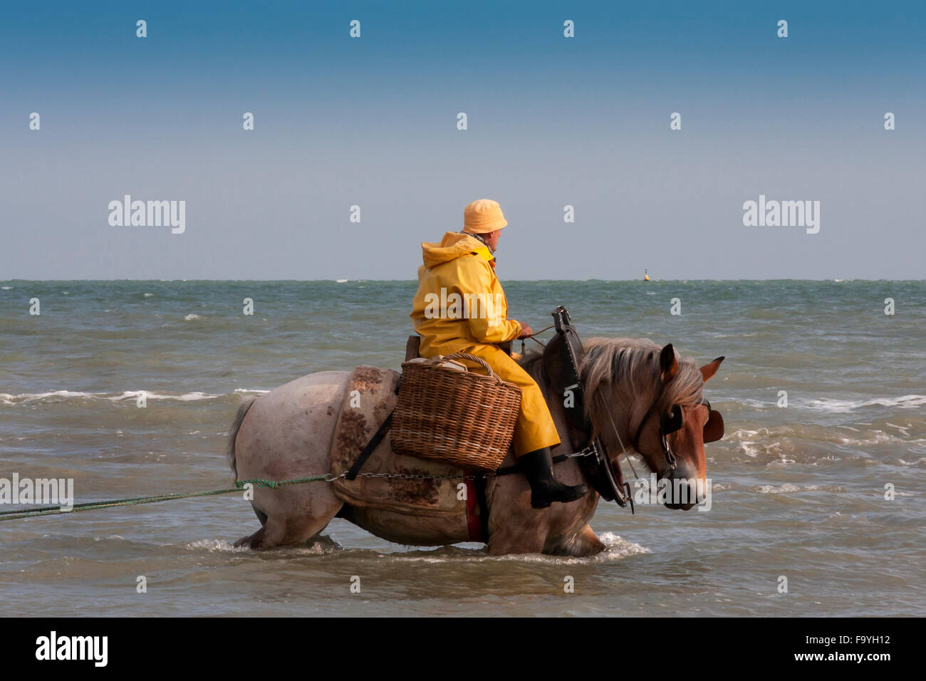 L'ouate de pêcheur dans la mer. La pêche des crevettes - les derniers ...