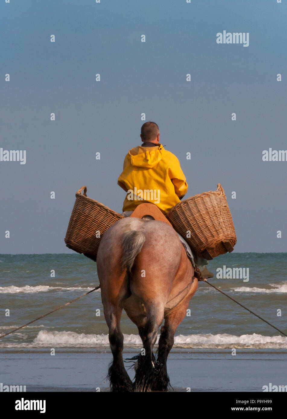 L'ouate de pêcheur dans la mer. La pêche des crevettes - les derniers ...