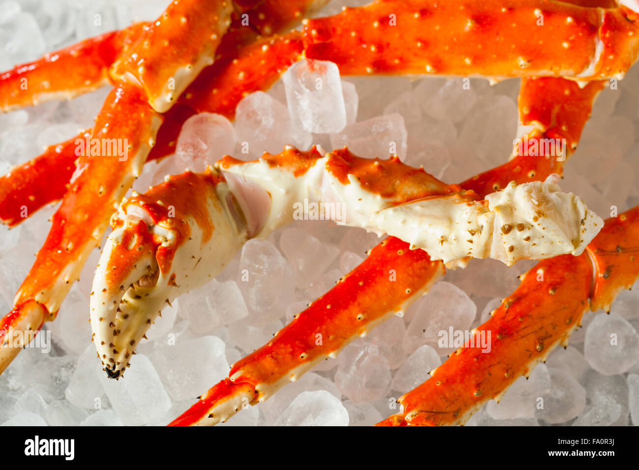 Le Crabe royal d'Alaska Bio cuit avec du beurre les jambes Photo Stock ...