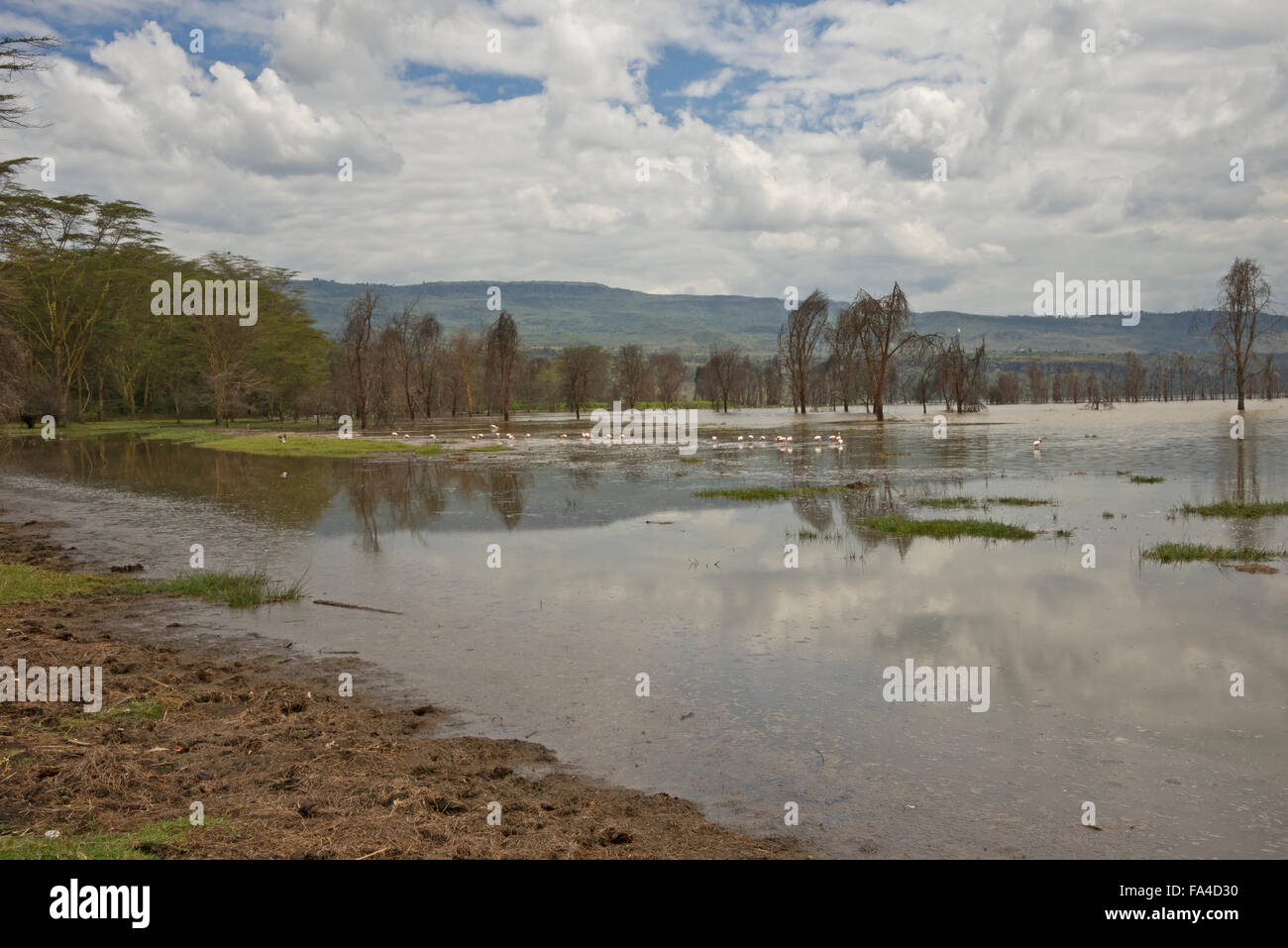 Soysambu conservancy Banque de photographies et d’images à haute ...