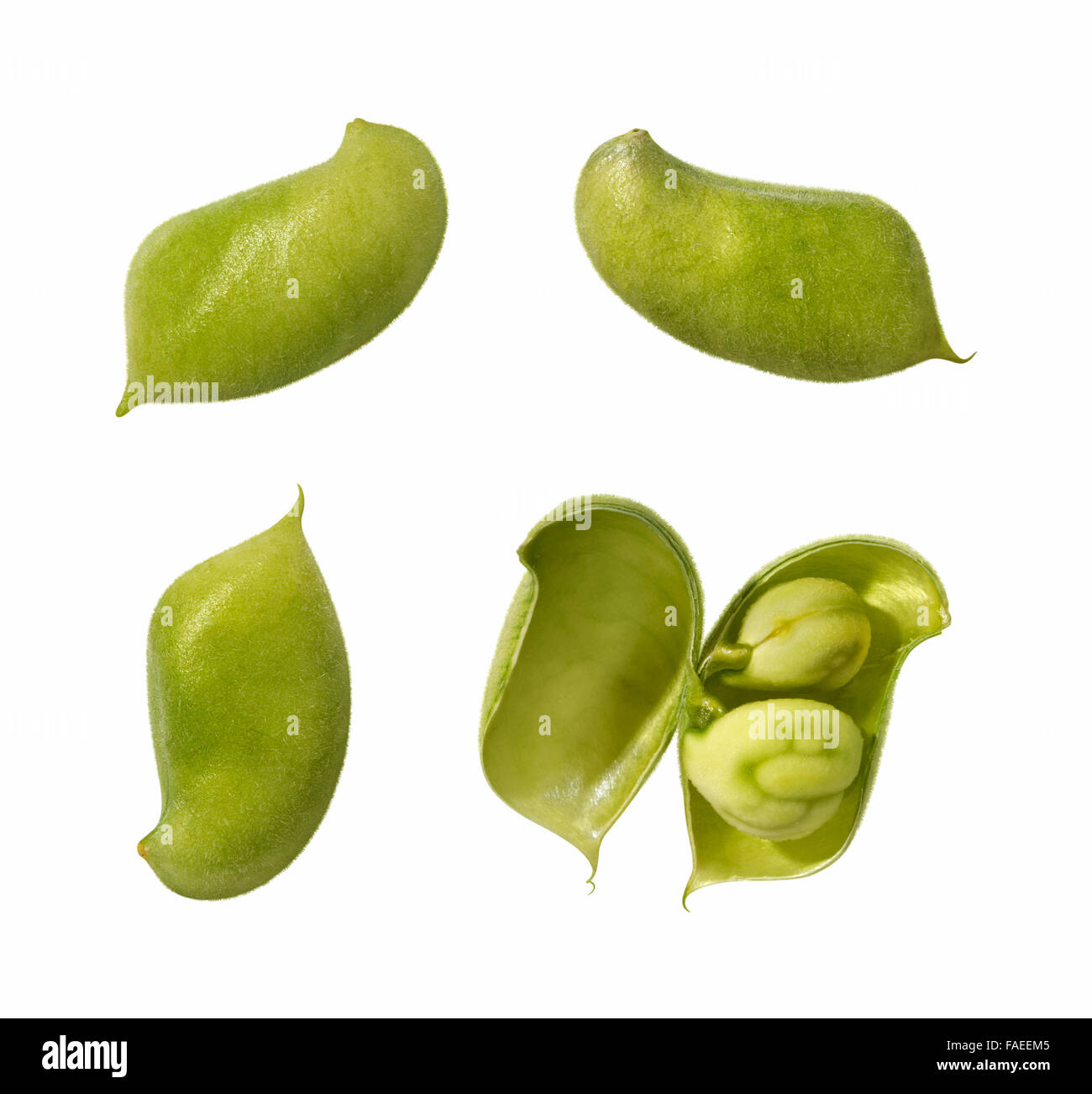 Gousse de haricot Banque de photographies et d’images à haute ...
