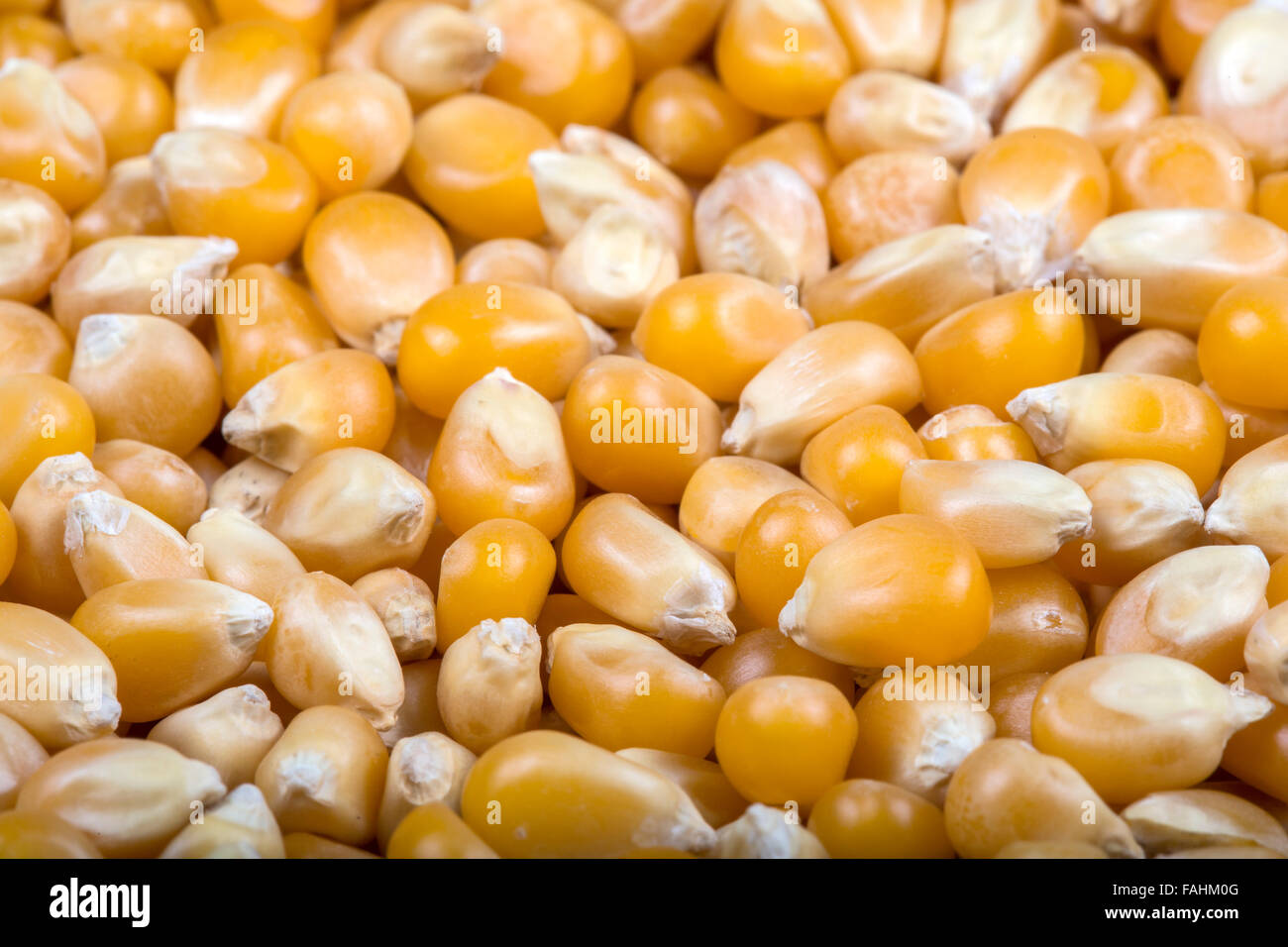 Corn grains Banque de photographies et d’images à haute résolution - Alamy