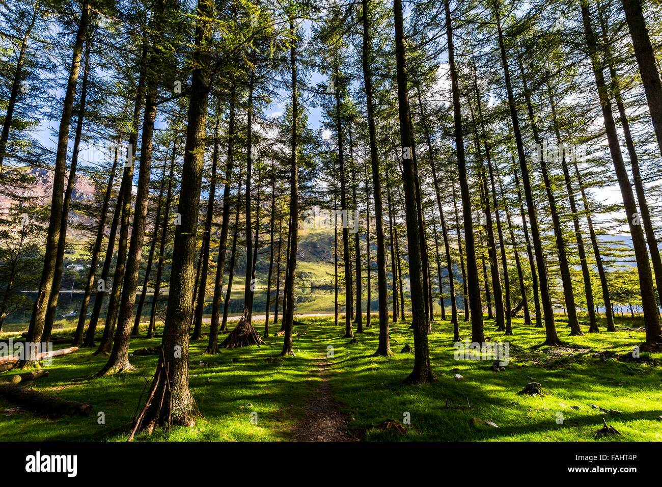 Promenade au lac buttermere Banque de photographies et d’images à haute ...