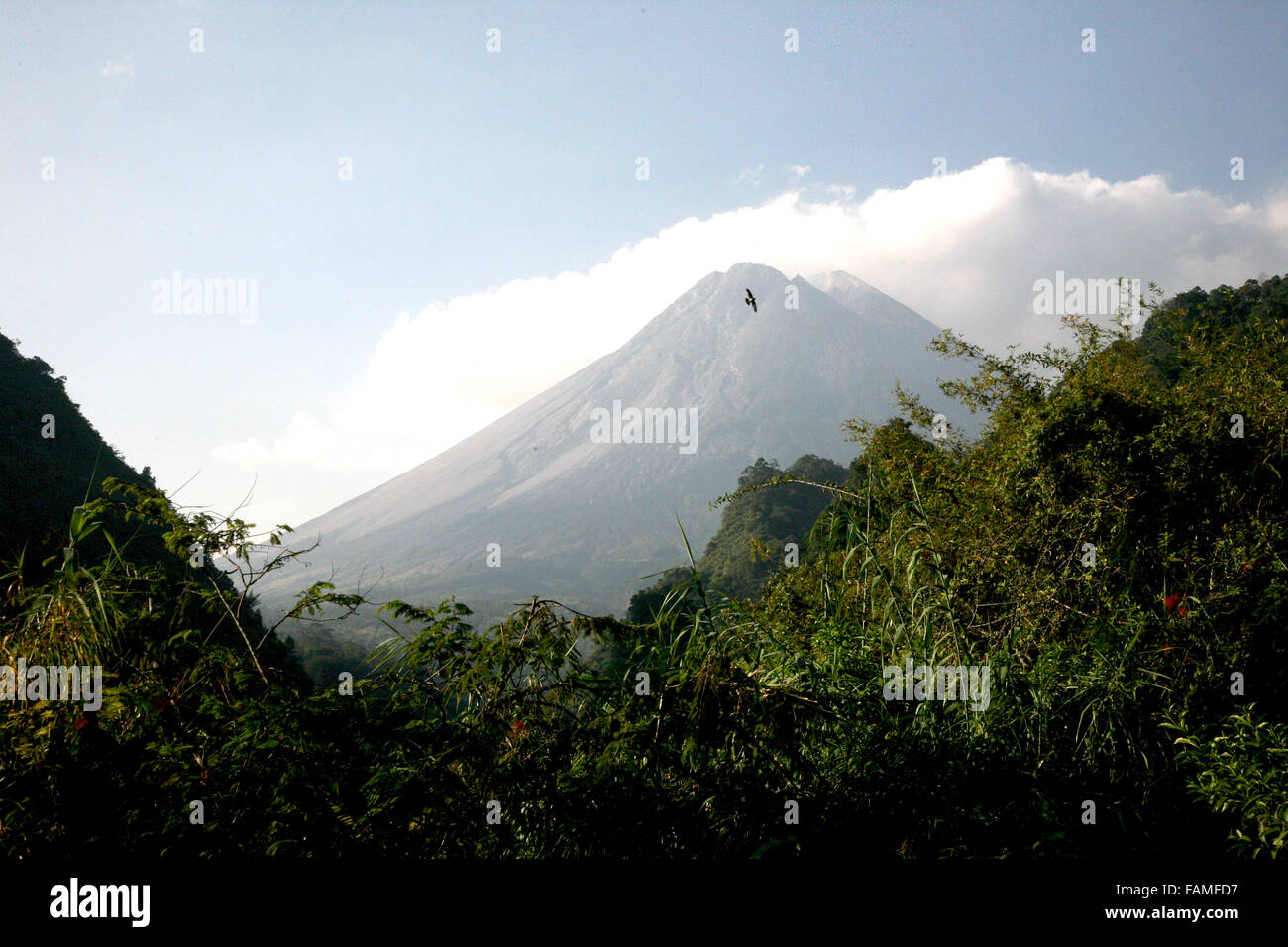 L'Indonésie Java Central Jogjakarta Parc National du Mont Merapi Le ...