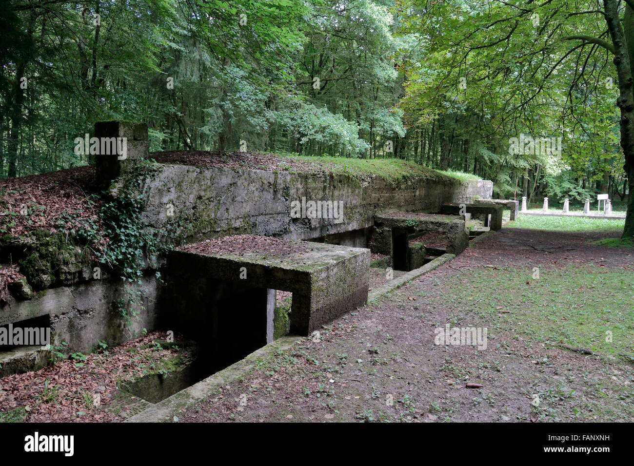 Poste de commandement du Colonel Driant, Bois des Caures, près de ...
