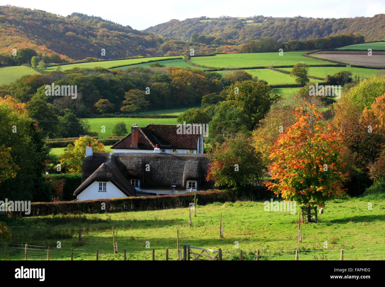 Village de dunsford Banque de photographies et d’images à haute ...