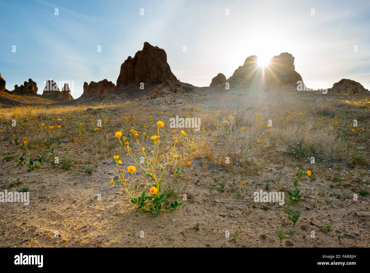 Trona pinnacles national natural landmark Banque de photographies et d ...