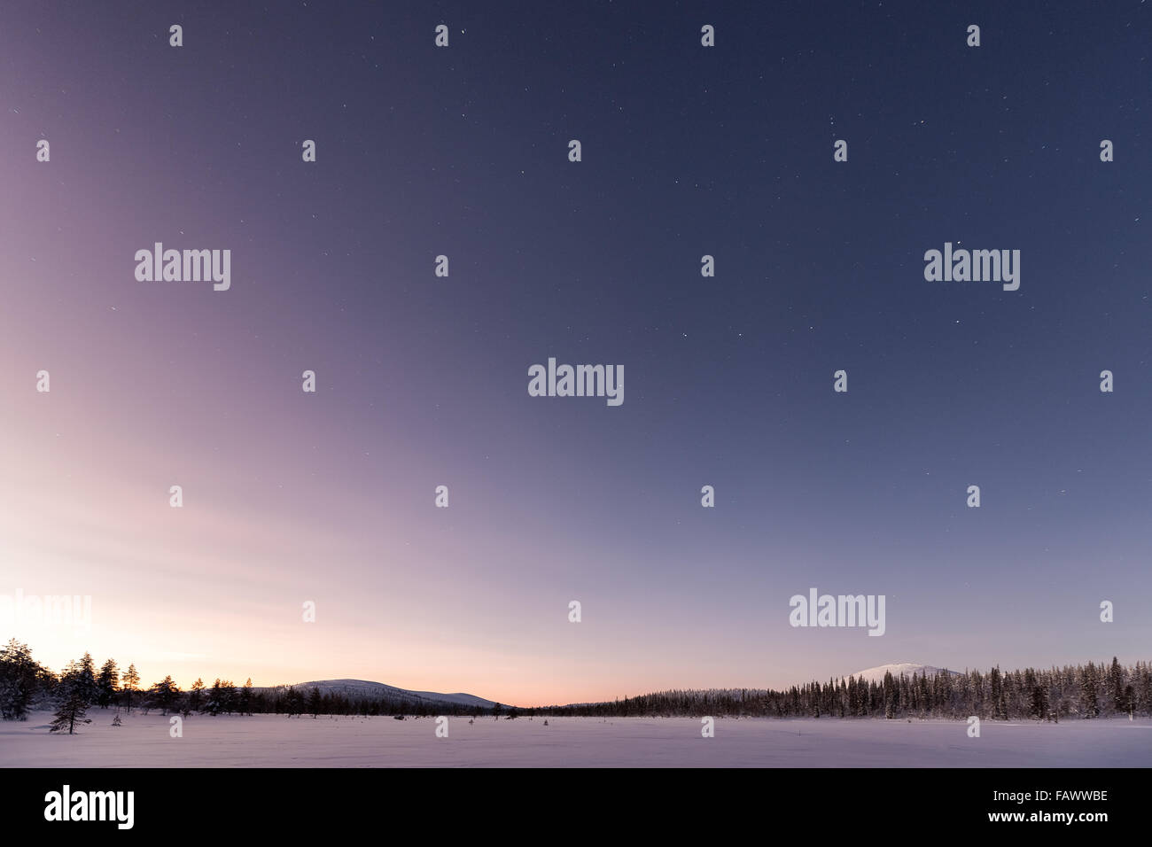 Grande ourse europe Banque de photographies et d’images à haute ...