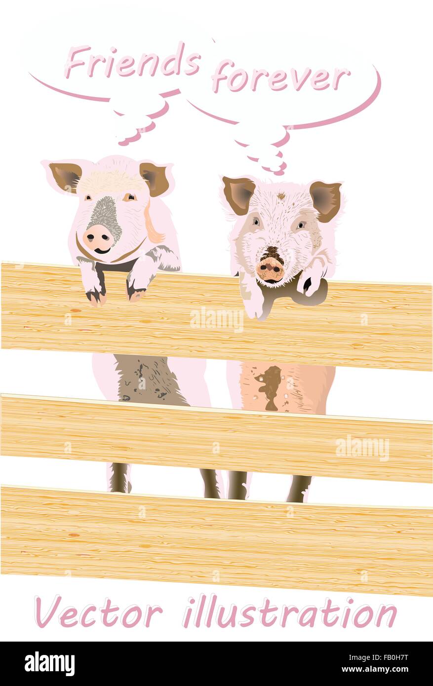 Cochon deux cochons Banque d'images vectorielles - Alamy