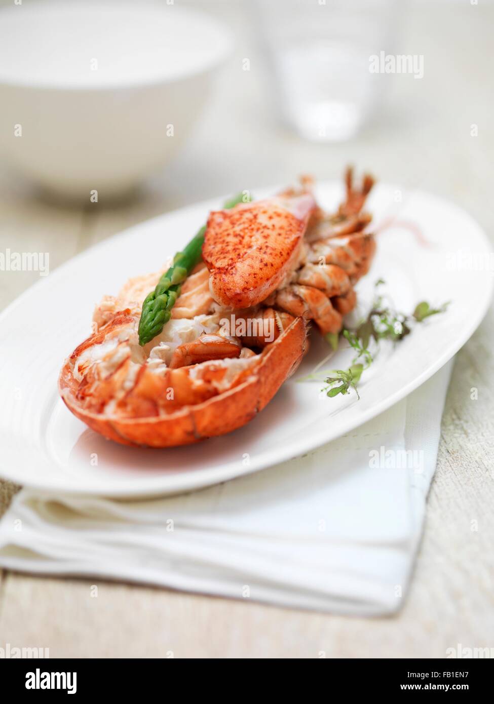 Homard canadien Banque de photographies et d’images à haute résolution ...