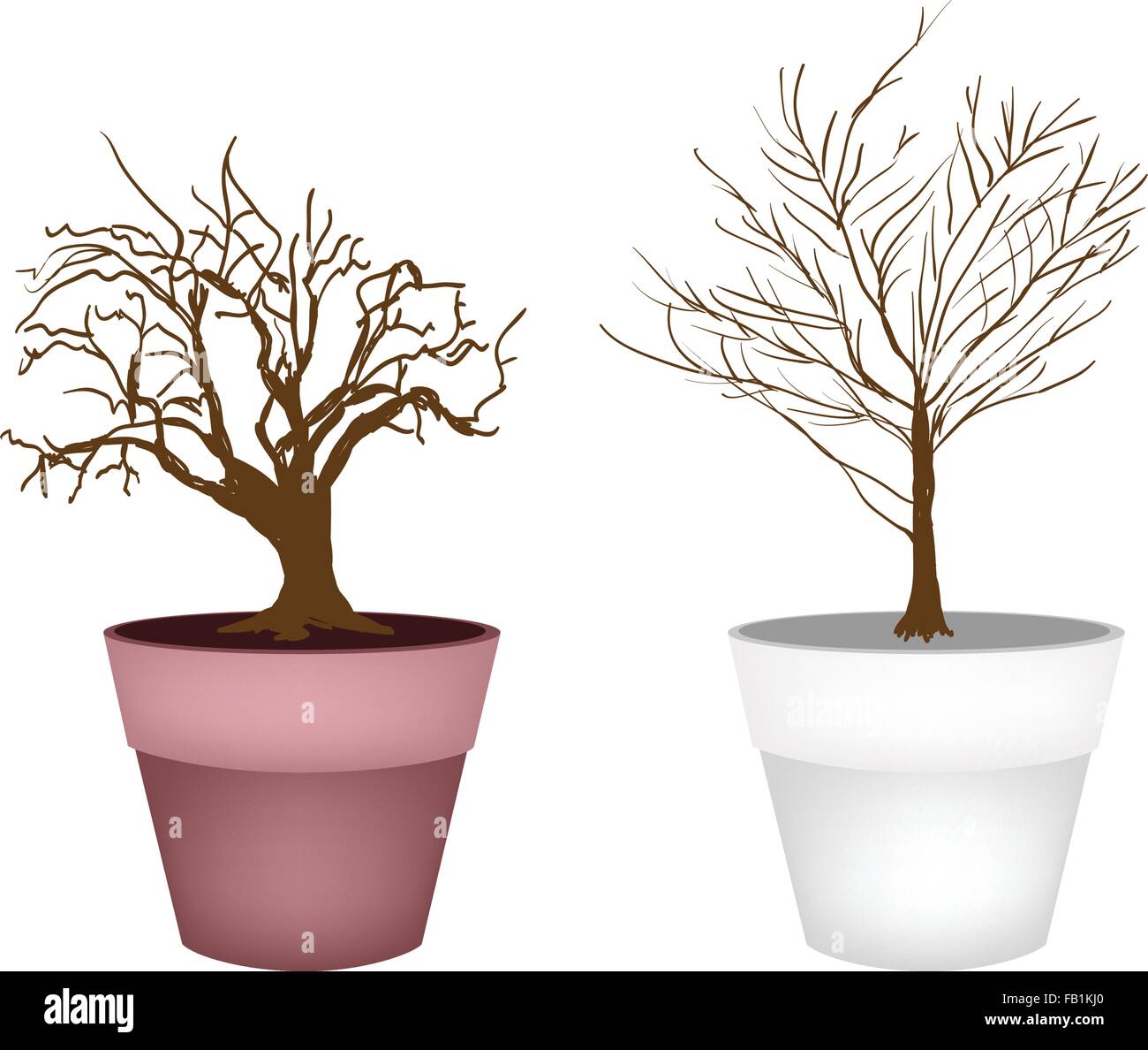 Fleur et Plante, Illustration de la couleur brune de l'aménagement ...