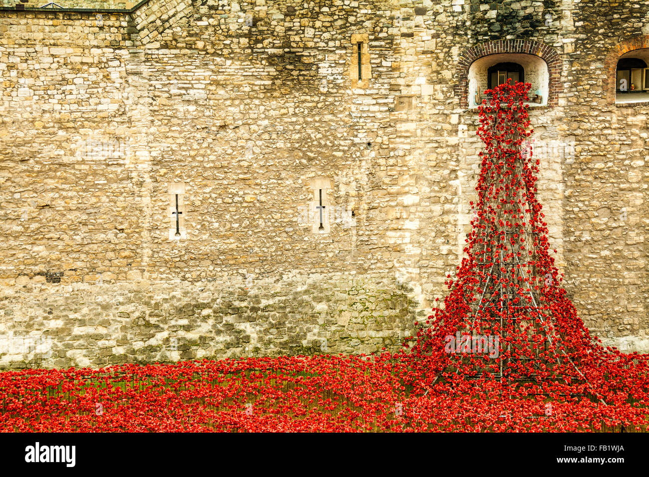 Mur De Coquelicots Banque d'image et photos - Alamy
