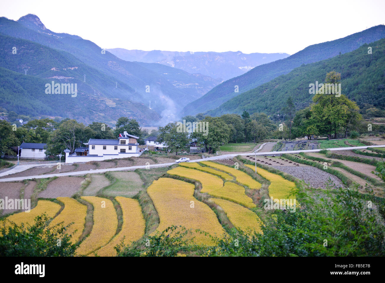 Vue depuis les terrasses de riz,hôtel Songstam Foothills Kawagebo ...
