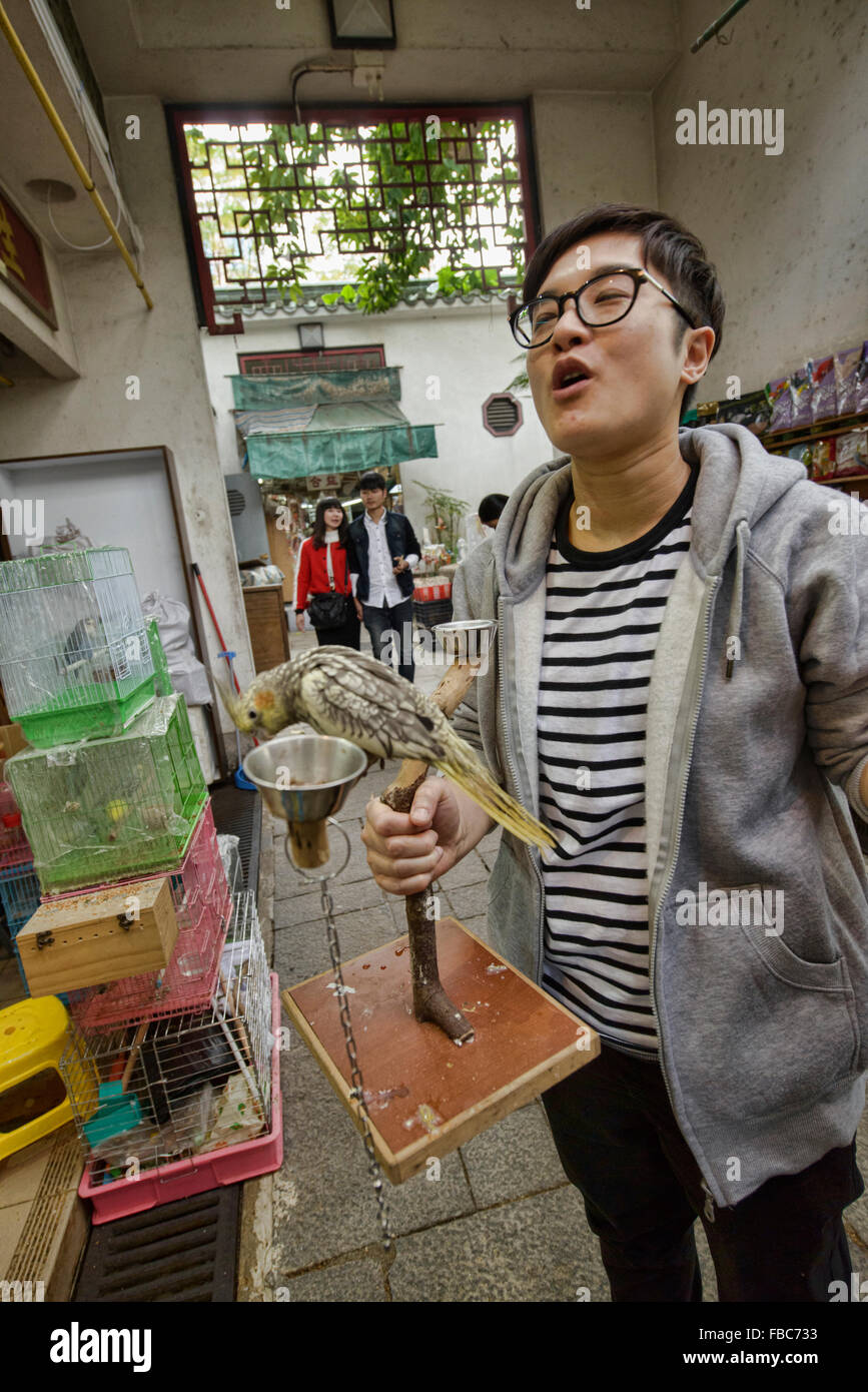 Scène du Yuen Po Bird Garden Market à Mongkok, Hong Kong Photo Stock ...